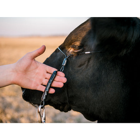 Sullivan Supply Phantom Cattle Cable Halter w/Ghost Grip - Hedwig, TX ...